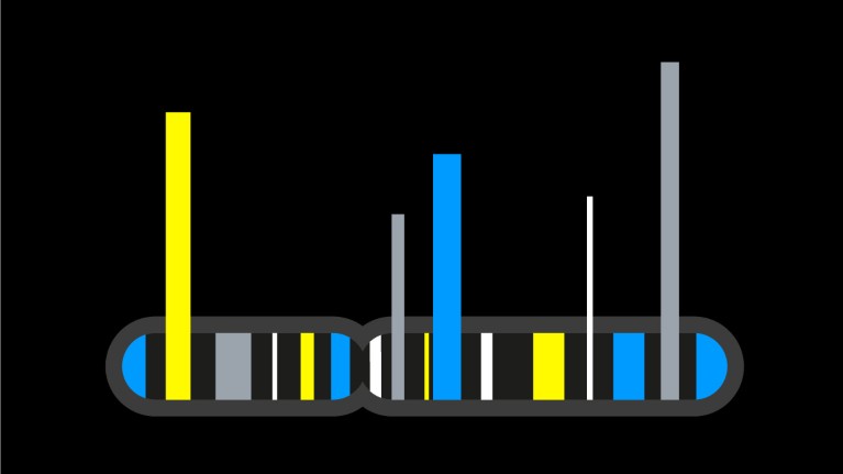The most popular genes in the human genome