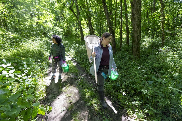 The cicadas are here! Why US researchers are swarming to study them