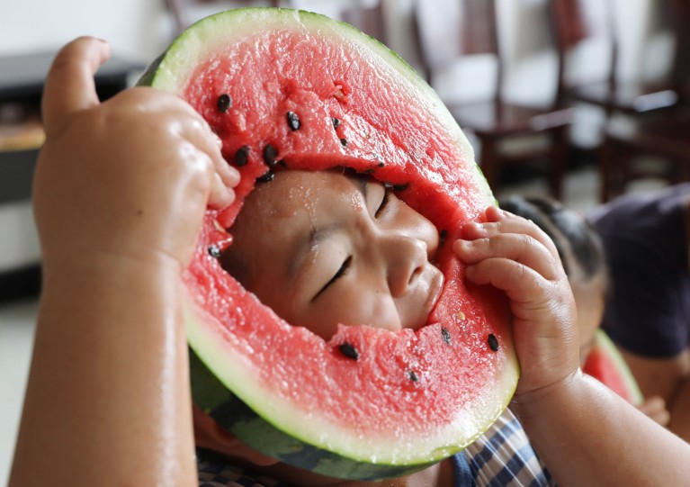 How the watermelon got its sweet taste and rosy hue