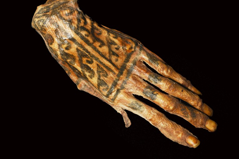 Hidden tattoos on mummy skin emerge under a laser’s light