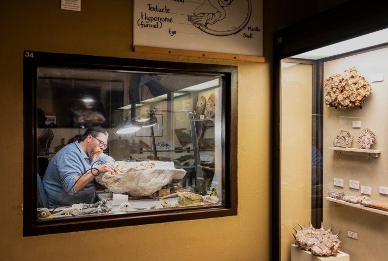 Understanding bones from the remote wilderness of Wyoming