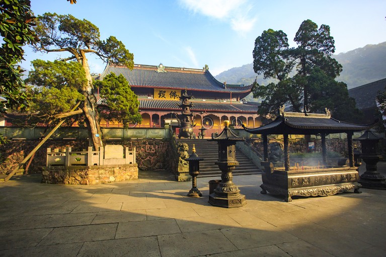 Thousands of endangered trees preserved for centuries inside Chinese ...