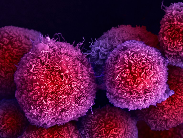 A cancer-causing mutation meets its match