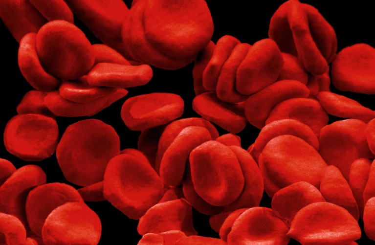 One dose of gene therapy gives years of relief from blood disorder