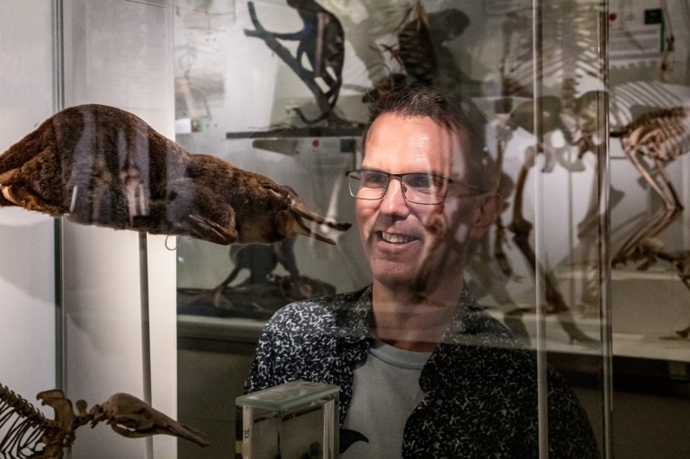 ‘Natural history museums can save the world’: anti-colonialism ...