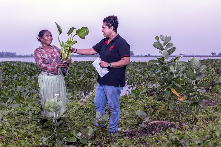 Connecting the dots: I trace the history of the East Kolkata Wetlands