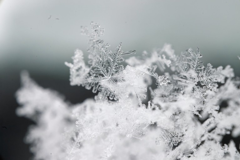 The race to uncover snow’s many mysteries before it disappears forever