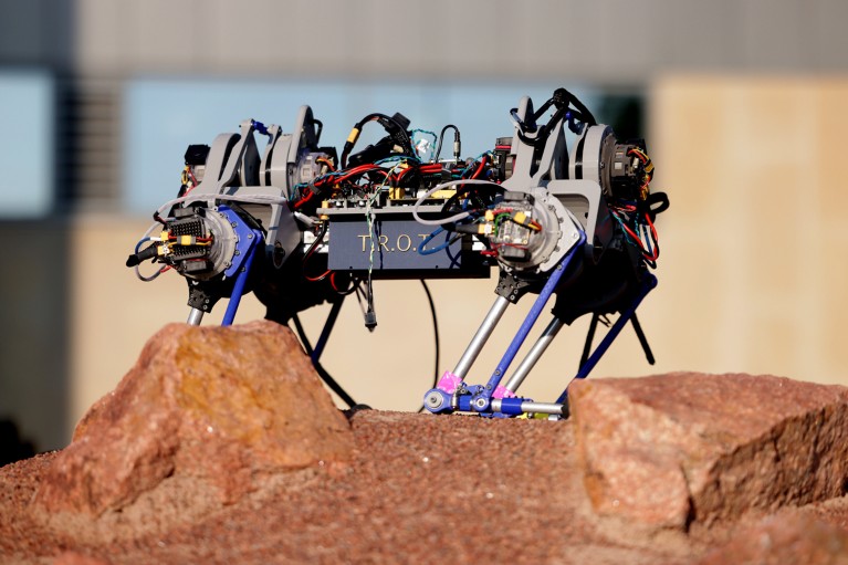 Flexible joints: robot morphs into a range of cyborg species