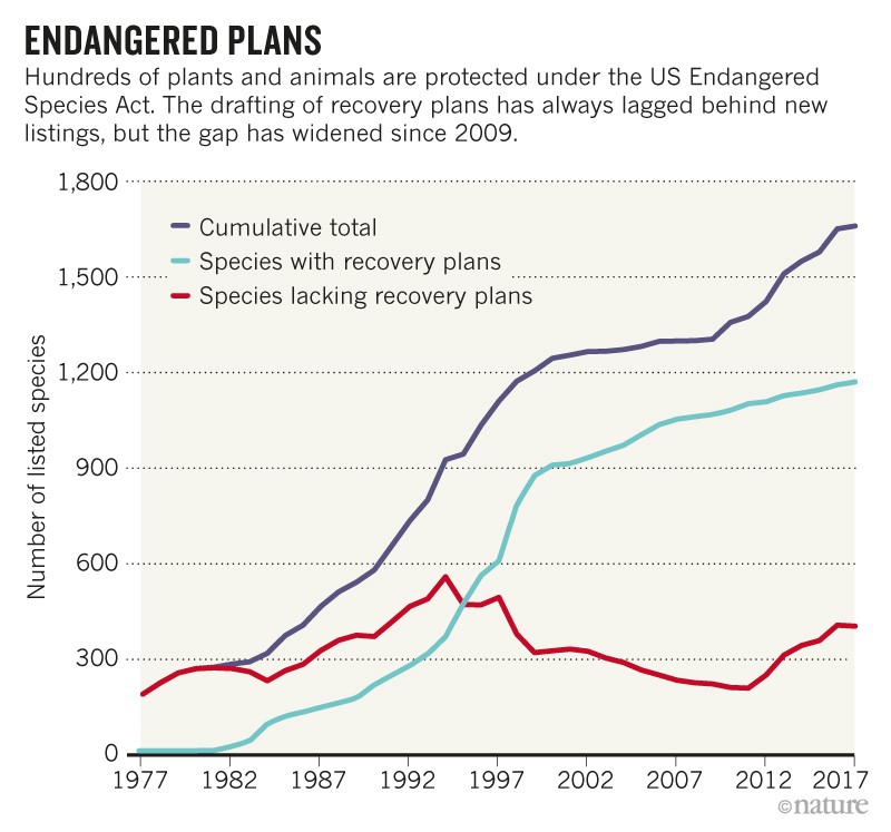 US government failing to provide recovery plans for some endangered species