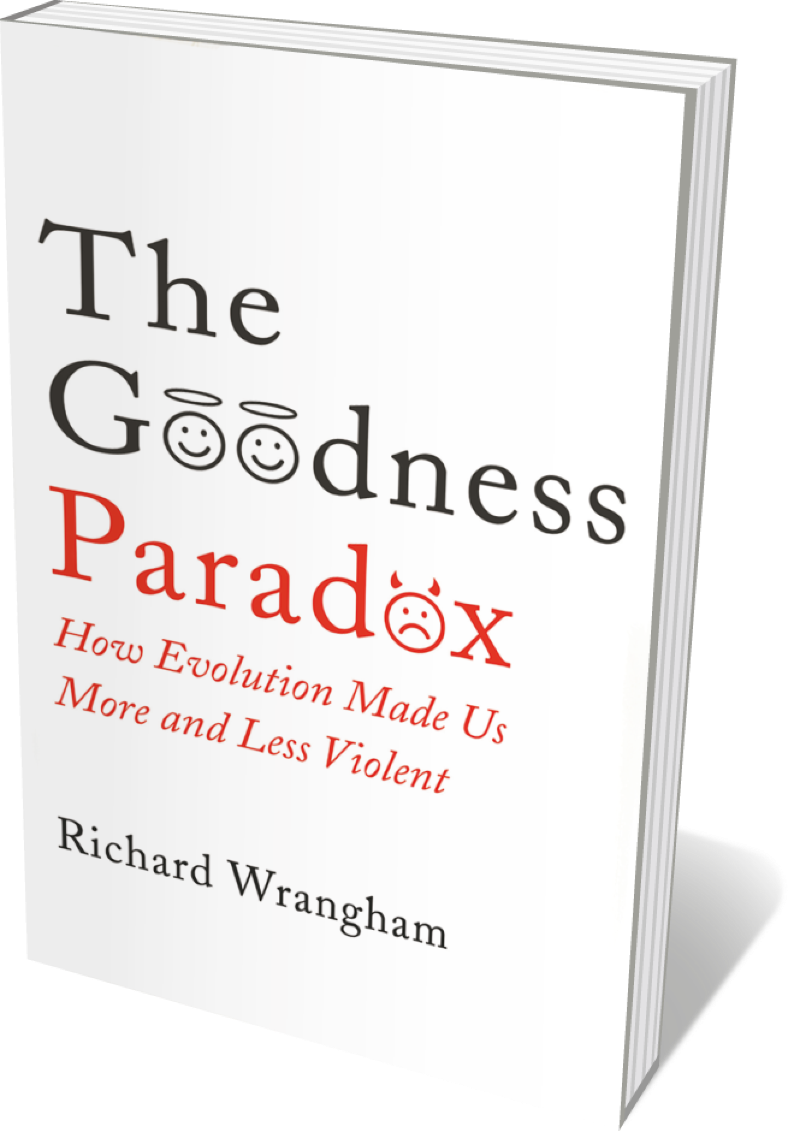 The paradox of human nature, our obsession with the skies, and the ...