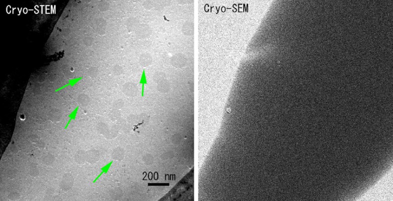 Good sample preparation is the key to getting the best from cryo ...